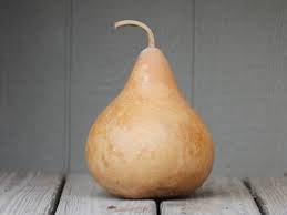 kettle-gourd-planting-seeds-for-large-fruits-100-pcs