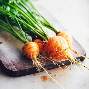 Round Carrot Seeds – Classic, Crisp Carrots for Your Garden