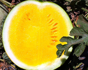 Mixed Rare Chinese Watermelon Seeds Citrullus lanatus for Planting ...