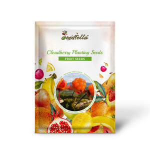 Cloudberry Seeds - Rare Fruit Variety for Easy Planting