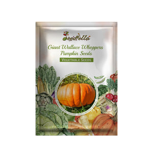 wallace-whoppers-pumpkin-planting-seeds-for-giant-fruits-100-pcs