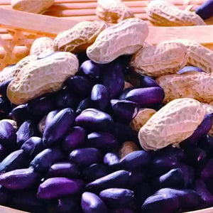 Blue Peanut Seeds - Rare Heirloom Groundnut Variety