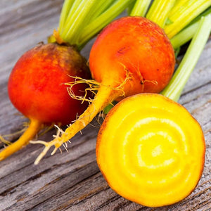 Radish Seeds – Dark Orange Variety for Flavorful and Nutritious Planting