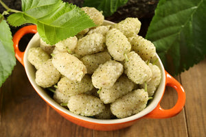Russian Mulberry Seeds - Morus alba Hardy Fast-Growing Fruit Tree